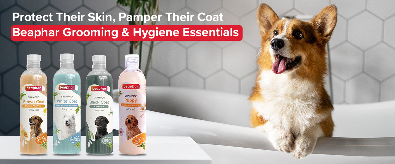 Beaphar Grooming Products for Dog – Clean & Healthy Pets