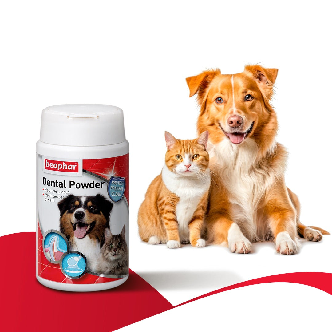 Dental Powder for Dogs and Cats, Oral Care for Pets | Modi Beaphar