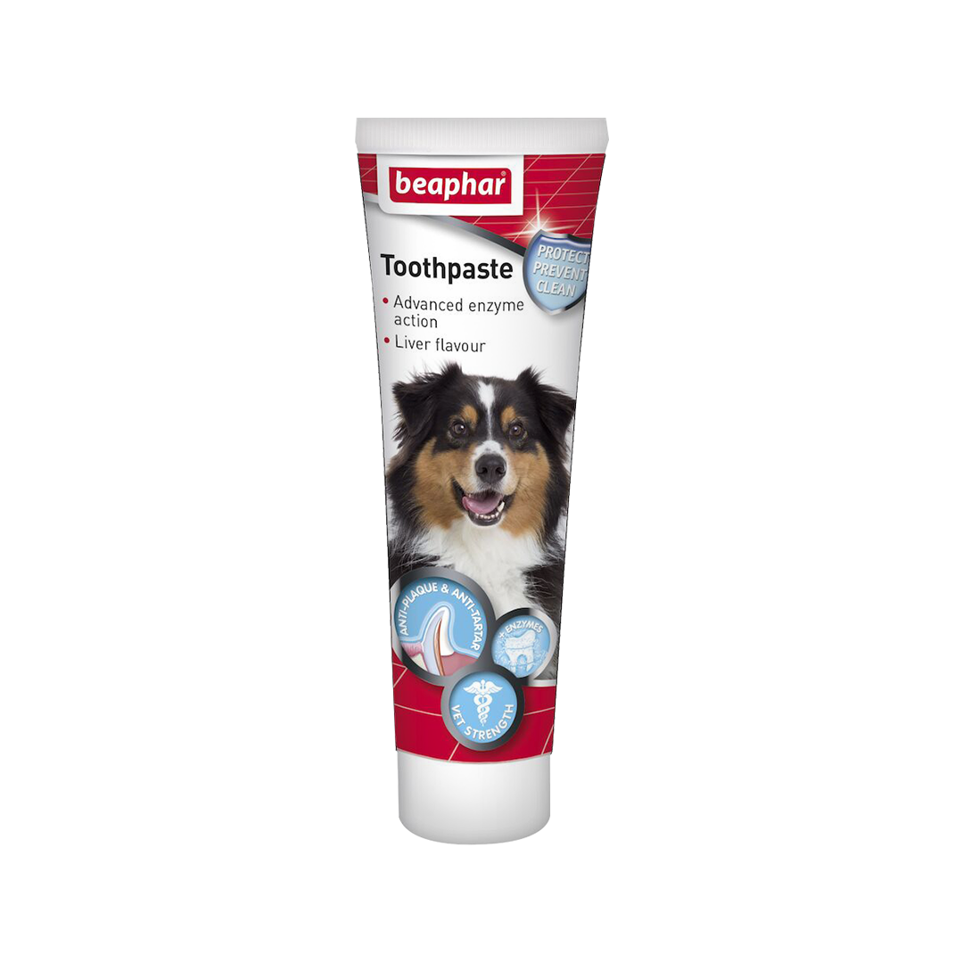 Best Toothpaste for Dogs and Cats for Healthy Teeth & Fresh Breath